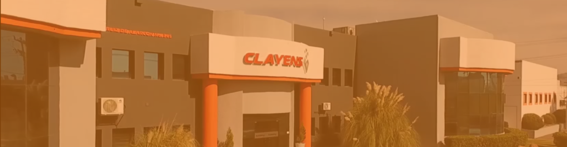 Clayens Chihuahua | Clayens